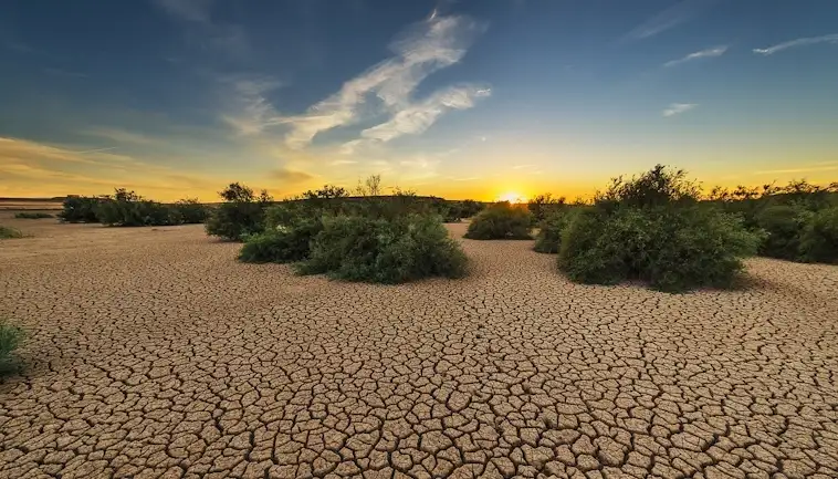 The Impact of Droughts on Global Food Prices