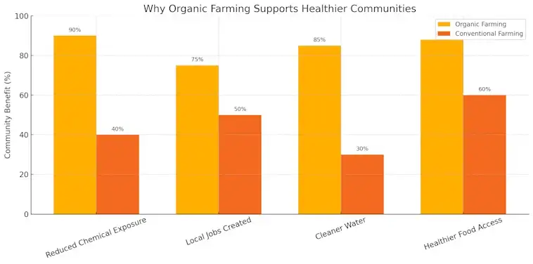 Why Organic Farming Could Be the Future of Our Food